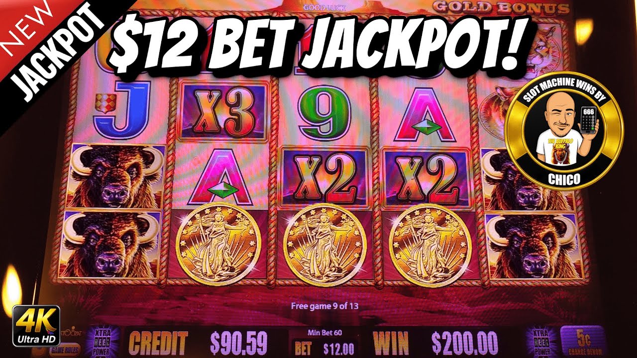 $12 Bet JACKPOT HAND PAY on Buffalo Gold Slot Machine - YouTube