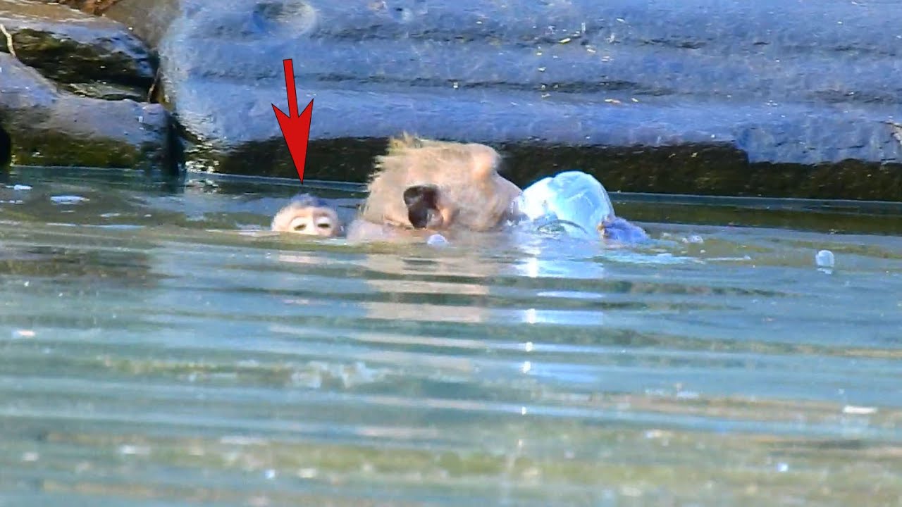 Baby will drowning if mom still take baby in water long time, baby near ...