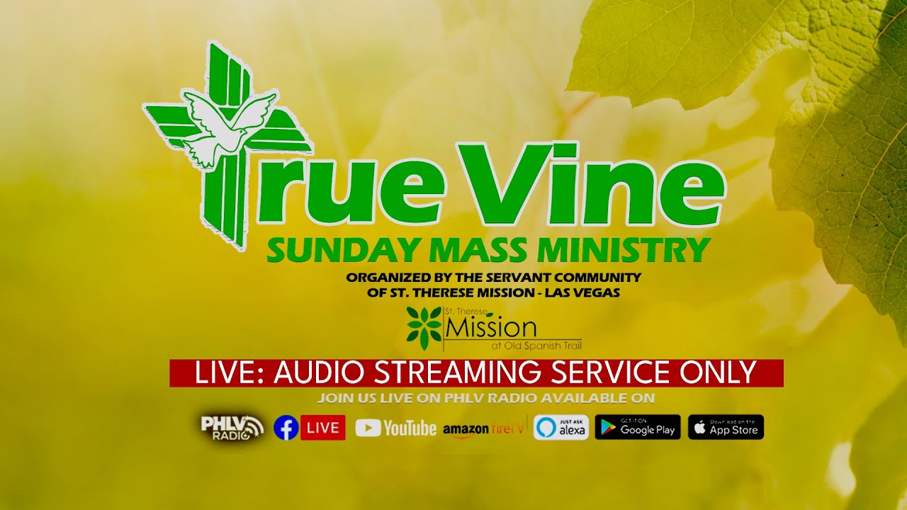 LIVE via Zoom: TRUE VINE SUNDAY MASS MINISTRY . 8th SUNDAY IN ORDINARY ...
