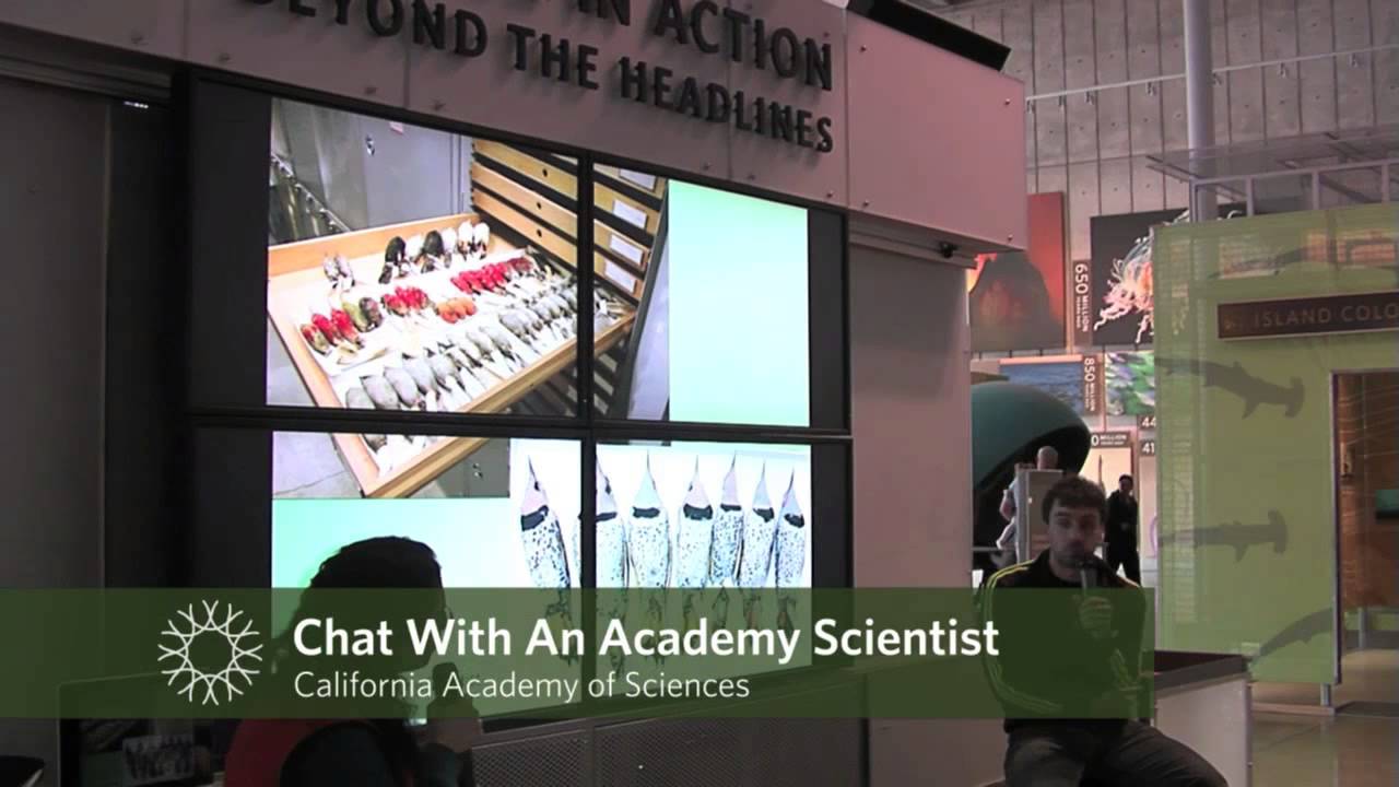 Jerome Fuchs: Chat with an Academy Scientist | California Academy of ...