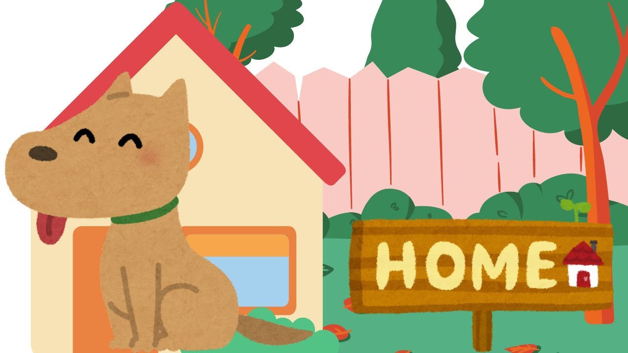 Bluey Extended Theme Song 💙🎶 | Bluey | New song - YouTube