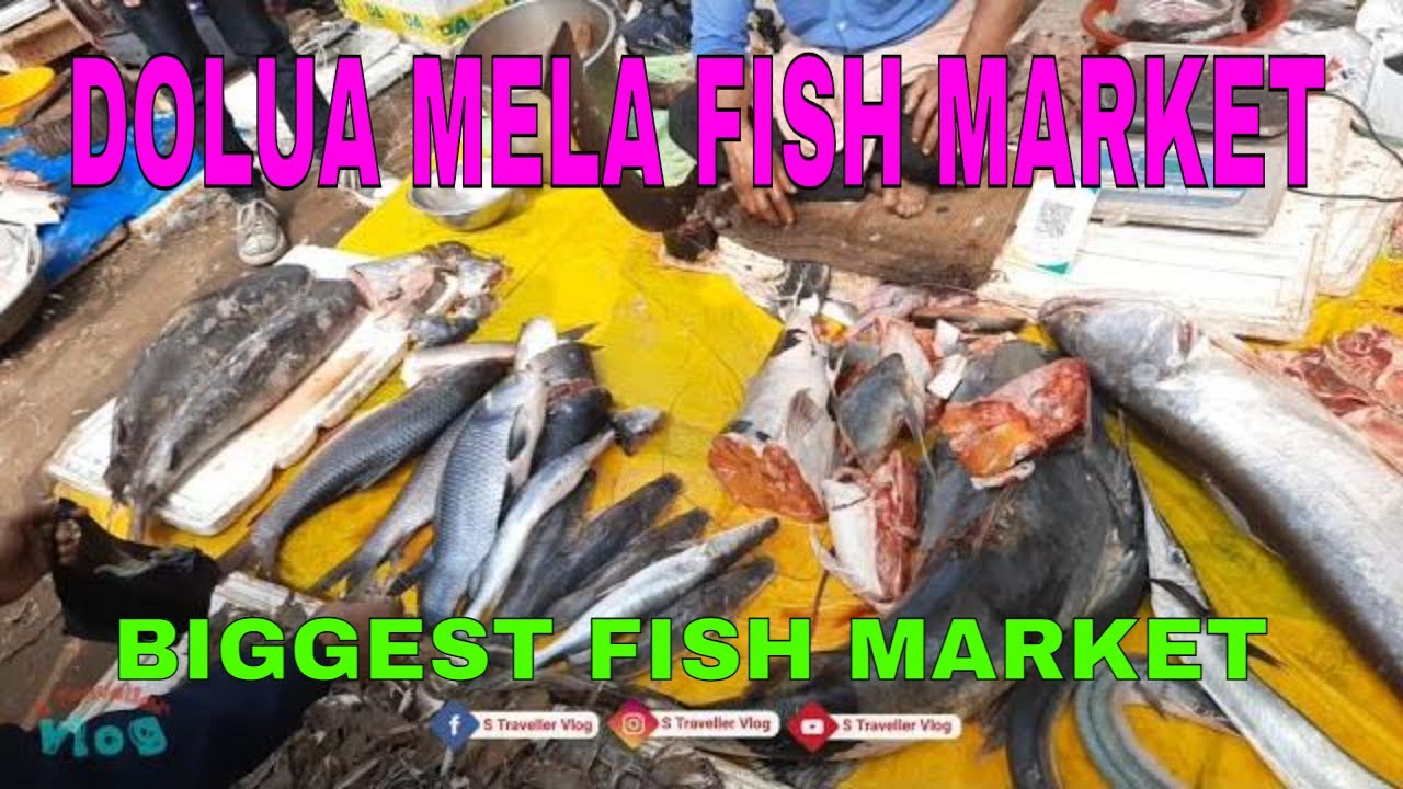 Chopra Dolua Mela Fish Market | चोपड़ा दलुआ मछली बाजार - YouTube