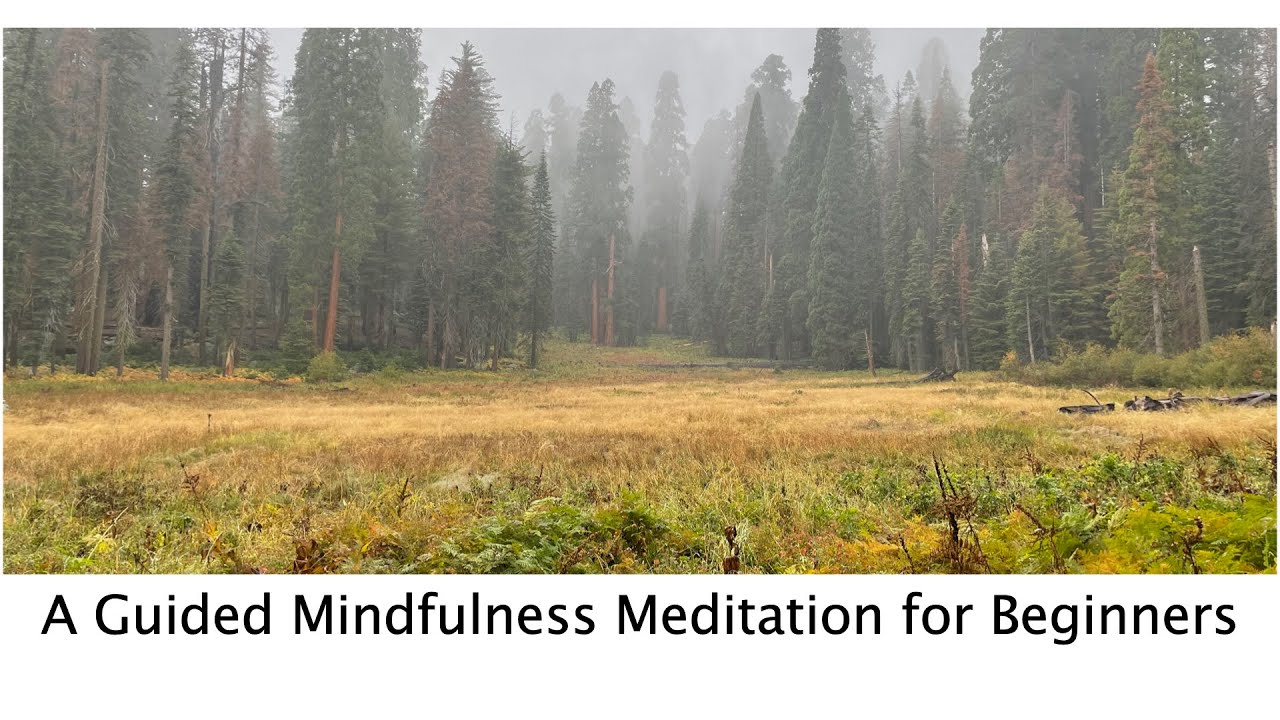 Mindfulness Meditation - A Guided Meditation for Beginners - YouTube