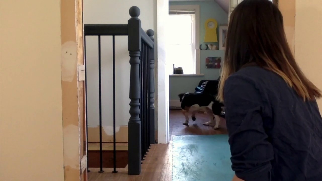 Sarah & Cinder Training Log 05:17:20 - YouTube