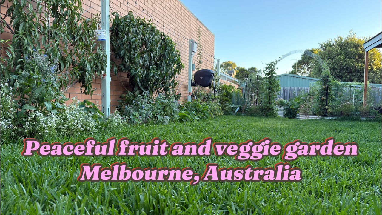 Relaxing midsummer evening garden tour - Melbourne, Australia - YouTube