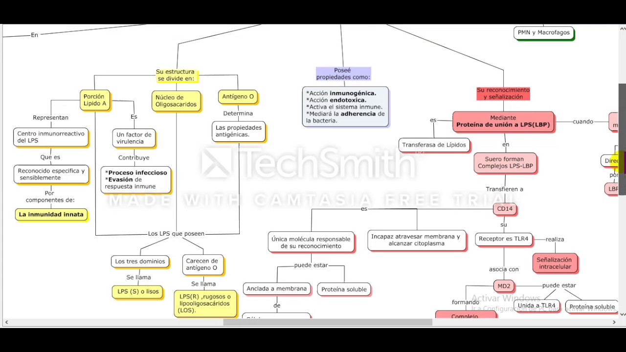MODULACIÓN DE LA RESPUESTA INMUNE MEDIADA POR LIPOPOLISACÁRIDOS ...