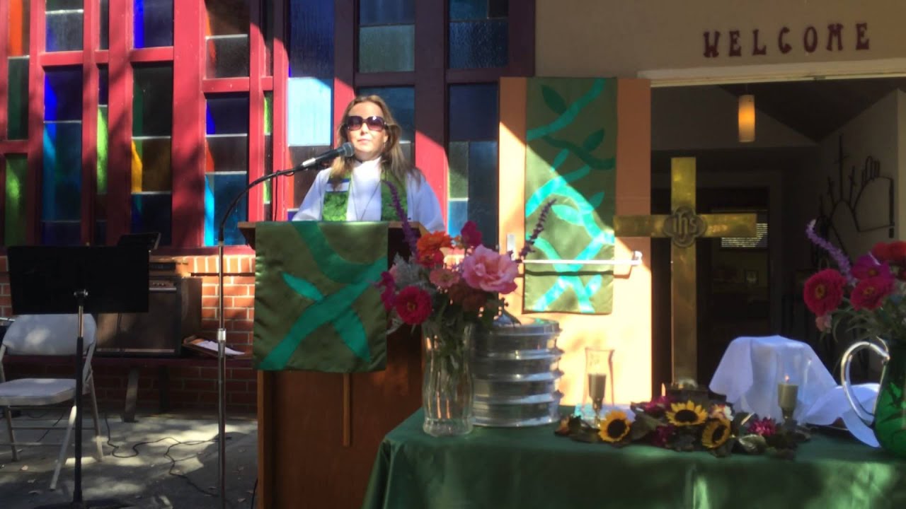 "The DNA of a Donkey" -Homily for Animal Blessing Sunday, October 5 ...