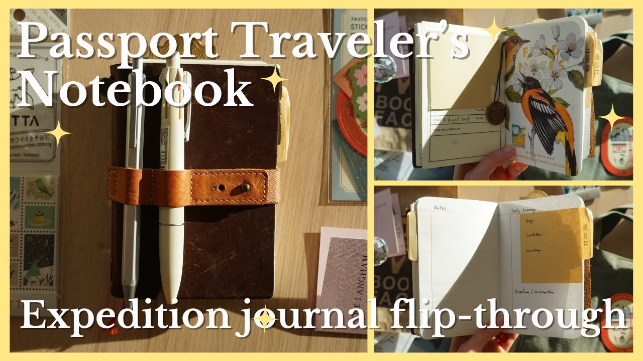 Update and flip-through of Expedition Journal + Amazon stationary haul ...