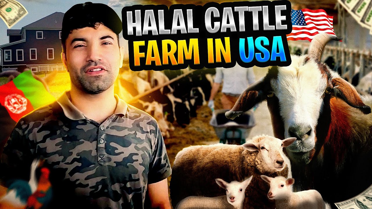 Madina Halal Farm | Nokesville, | Virginia USA| Wakil Khan - YouTube