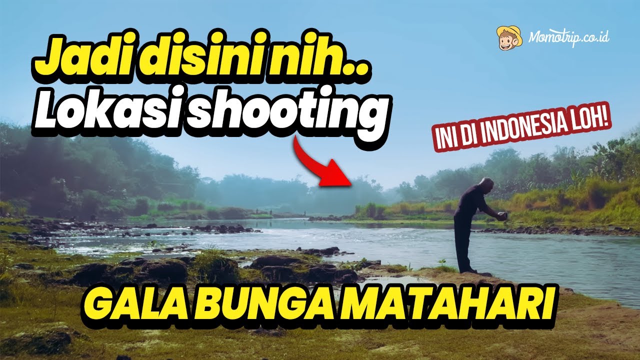 Penasaran? Intip Lokasi Syuting MV Gala Bunga Matahari yang Bikin Kamu ...