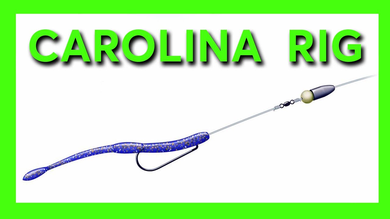 Fishing Carolina Rig For Bass at Louise Forsman blog