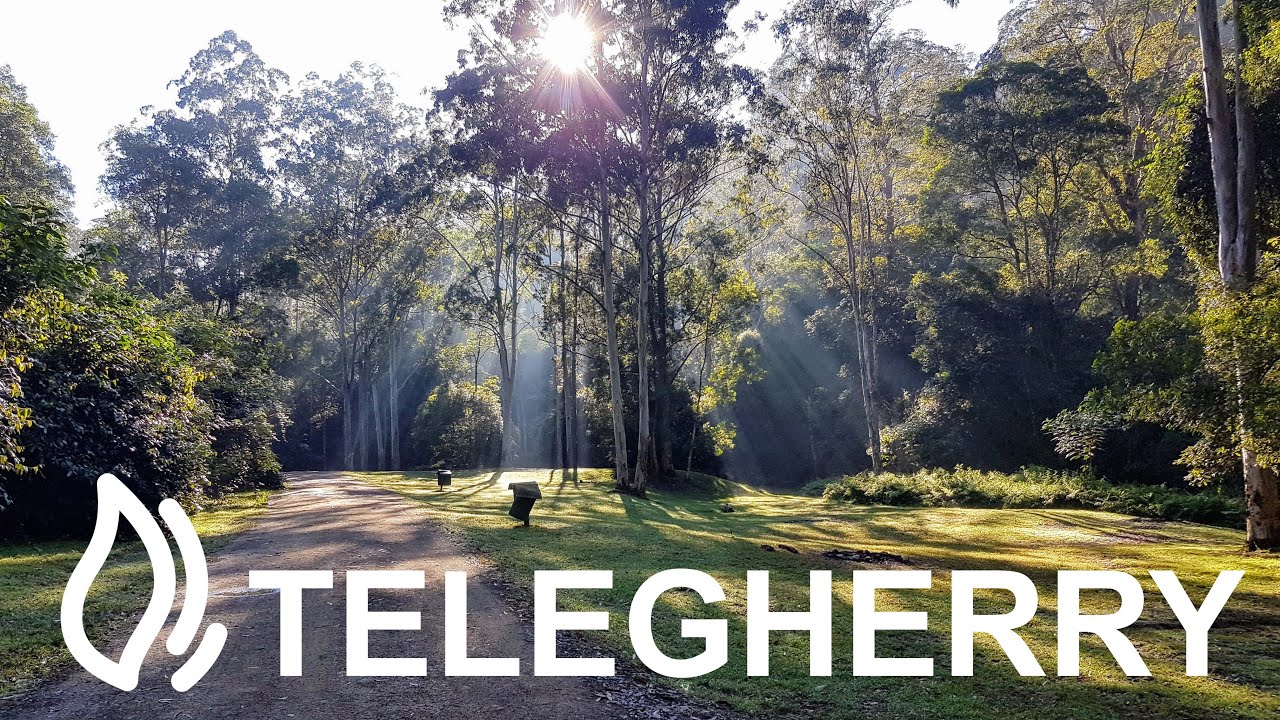Telegherry Camp - Chichester State Forest, NSW - YouTube