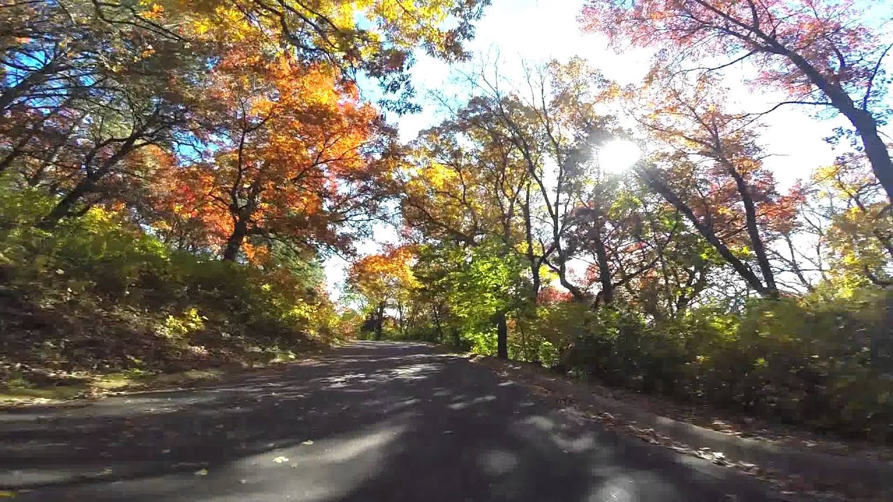Spectacular Fall Foliage - Minneapolis, MN - Oct 2014 - YouTube