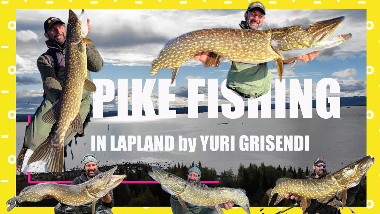 Pike Fishing in LapLand - 4K by Yuri Grisendi - YouTube