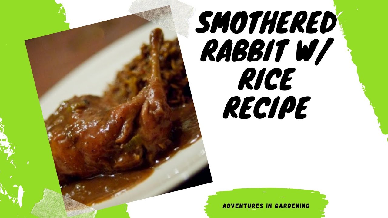 Rabbit!! Smothered Rabbit with Rice Recipe - YouTube