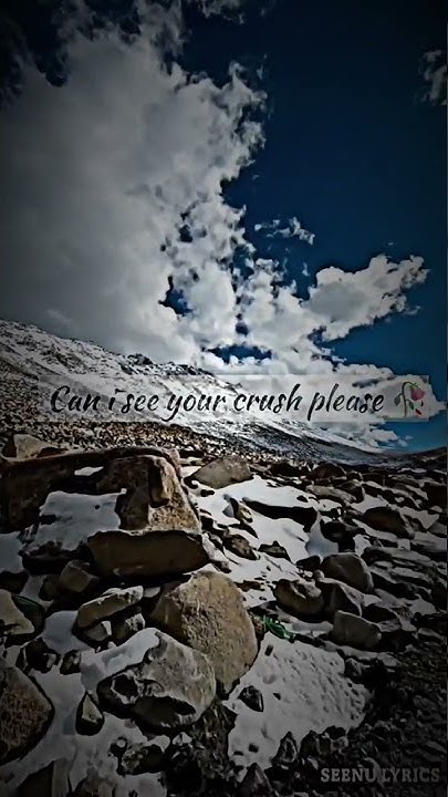Can I See Your Crush Please🥀💬 Status Short Shorts Reels Crush 