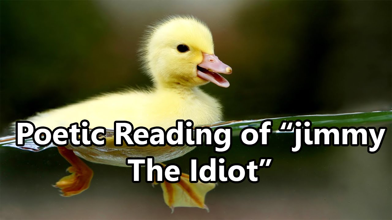 Poetic Reading of 'Jimmy The Idiot' - YouTube
