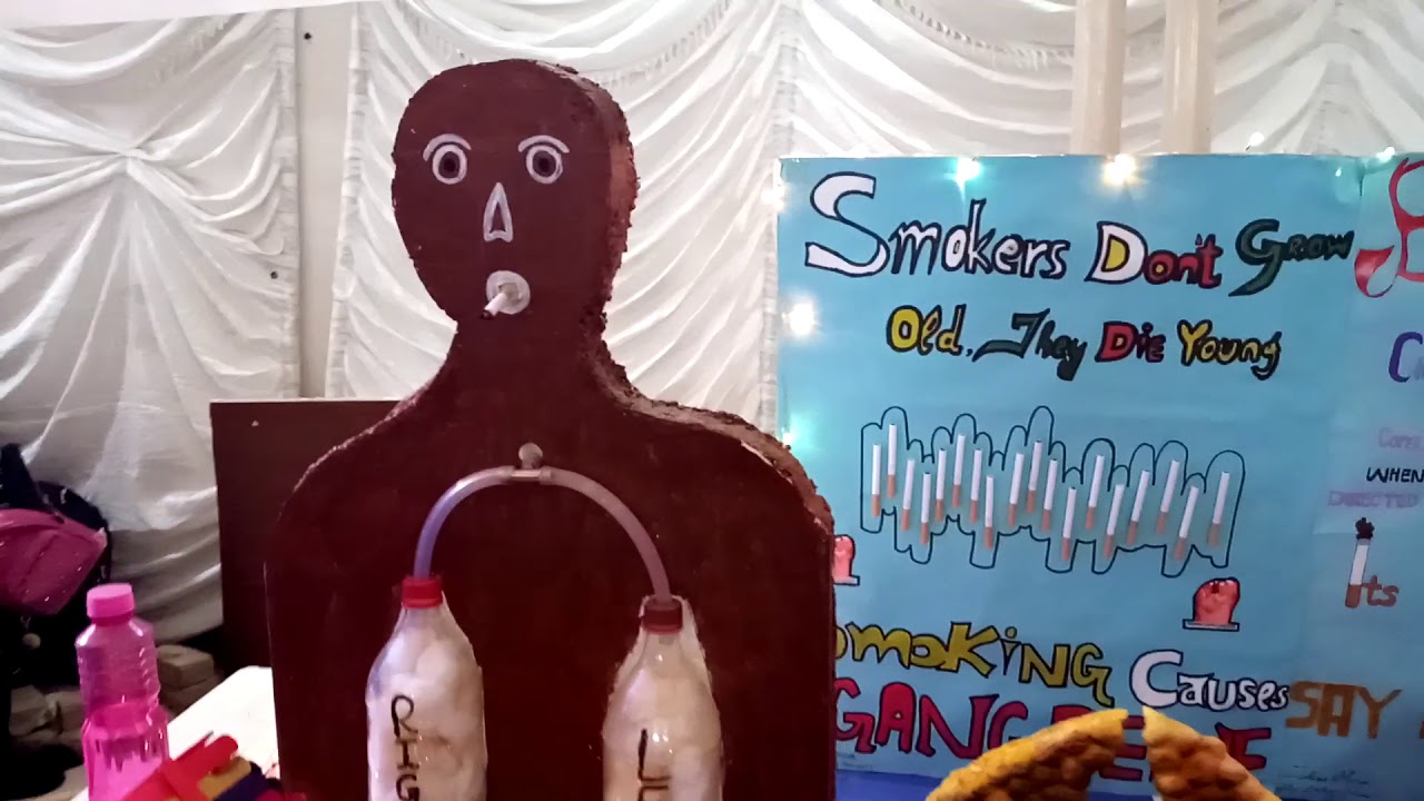 Model of Smoking effect Liver || Science Exhibition || #Science - YouTube