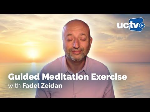 A Guided Meditation Exercise with Fadel Zeidan - YouTube
