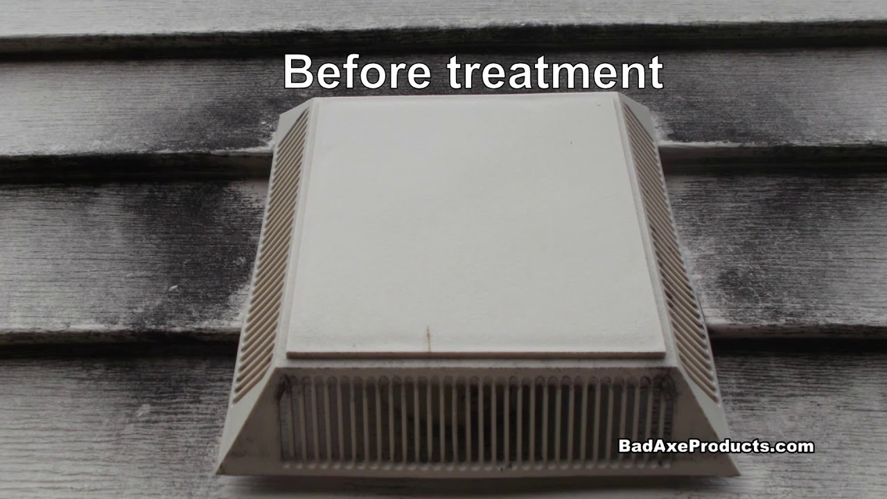 Products to Resolve and Prevent Mold Issues by Bad Axe Restoration ...