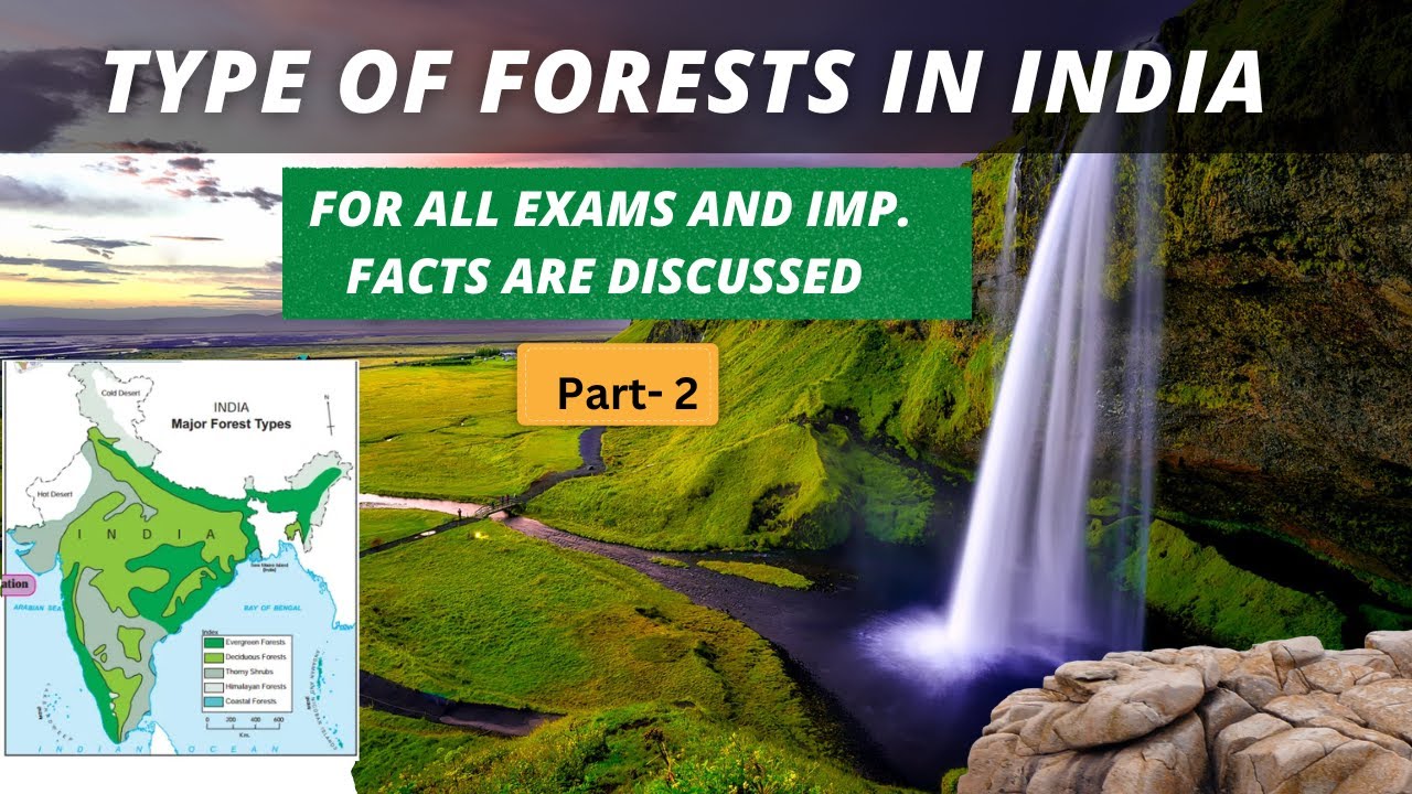 Types of Forests in India - Evergreen, Deciduous, Thorny, Montane ...