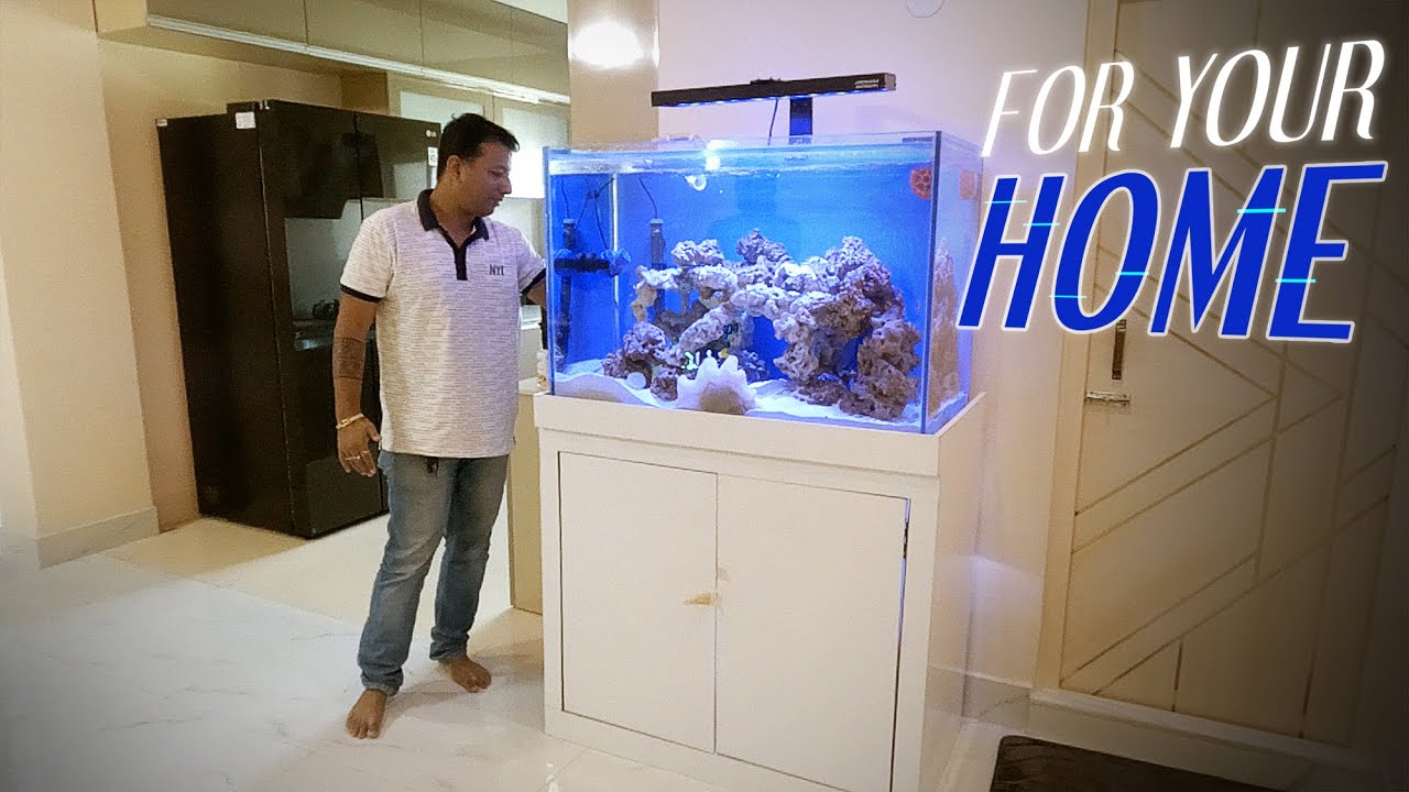 STANDARD MARINE TANK FOR YOUR BEAUTIFUL HOME | seascapes marine - YouTube