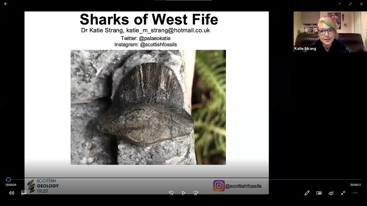 Sharks of West Fife with Dr Katie Strang - YouTube