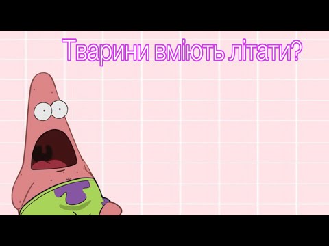 Тварини літають? Баг в Тока бока ||🦋Toca_stitch🦋|| - YouTube