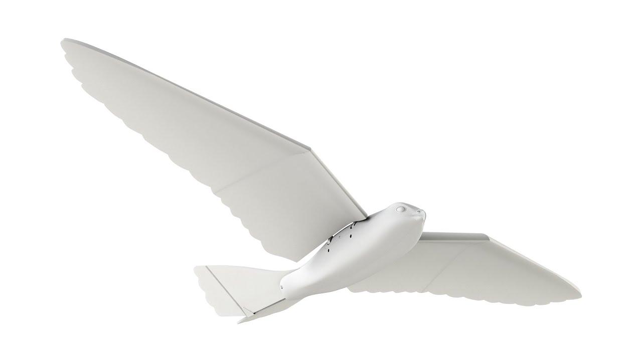 Research on the Flapping Robotic Falcon, why does it fly like it flies ...