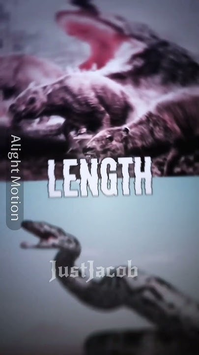 Purussaurus VS titanoboa #edit #dinosaur #paleontology #fypシ #fypシ゚ ...