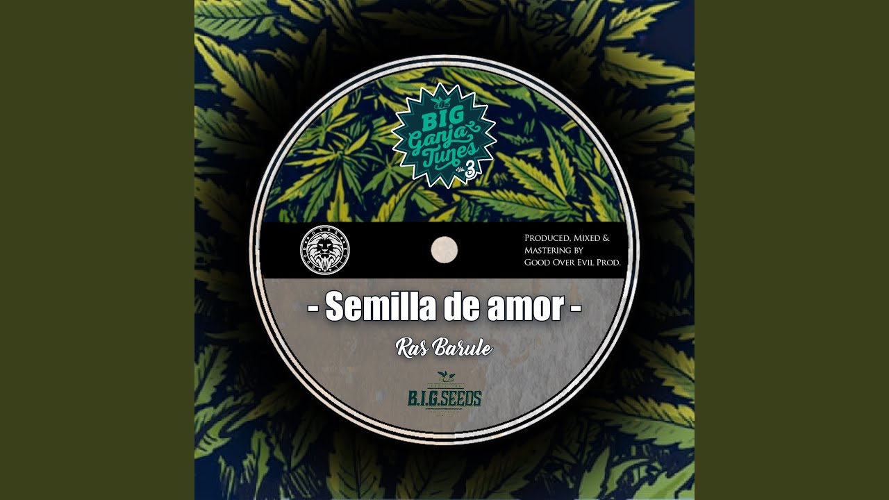 Semilla de amor - YouTube