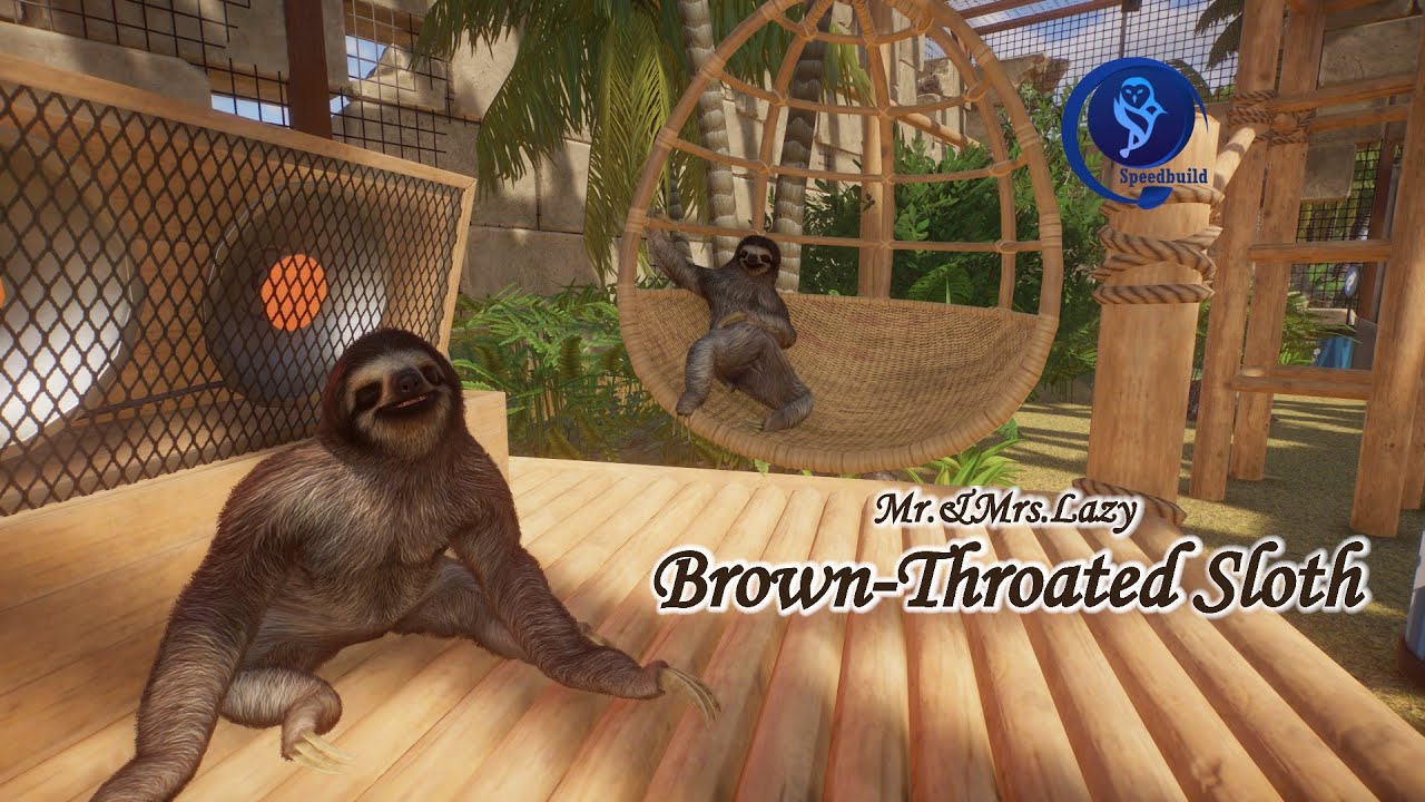 🦥🌎Brown-throated Sloth habitat | #19 Buenos Aires #planetzoo # ...