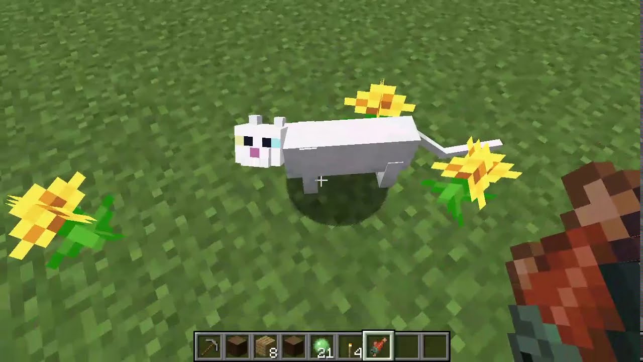 Minecraft for Beginners: Slimes, Golems and Crazy Cats - YouTube