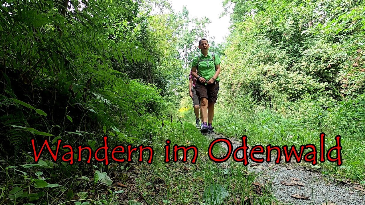Wandern im Odenwald - Nieder-/Ober-Beerbach-Runde - YouTube