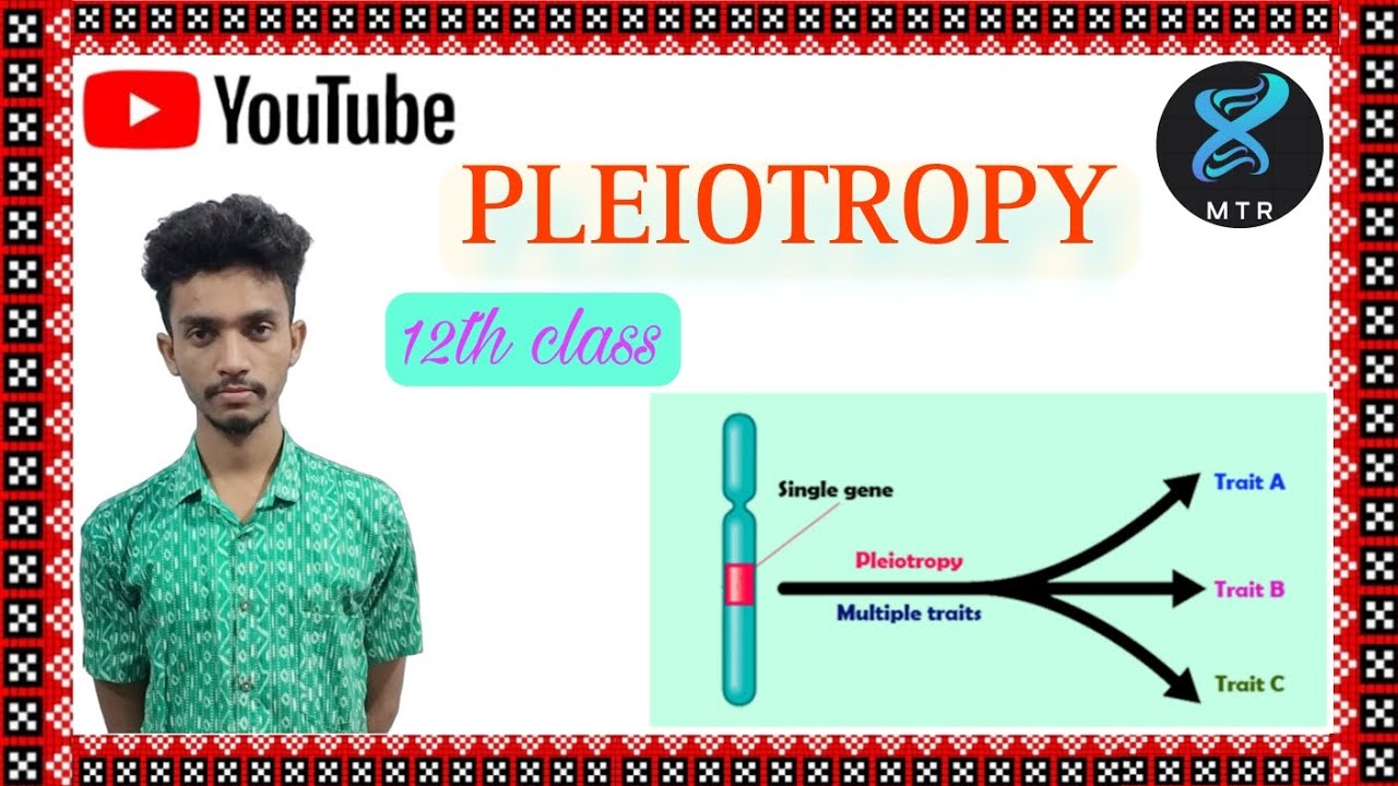 PLEIOTROPY//12TH CLASS//BY HUMAN SIR - YouTube