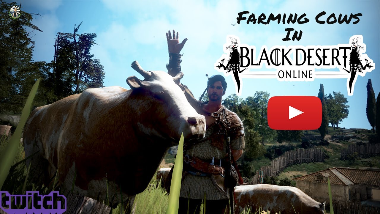 Cow farming in Black Desert online by Averagepothead - YouTube