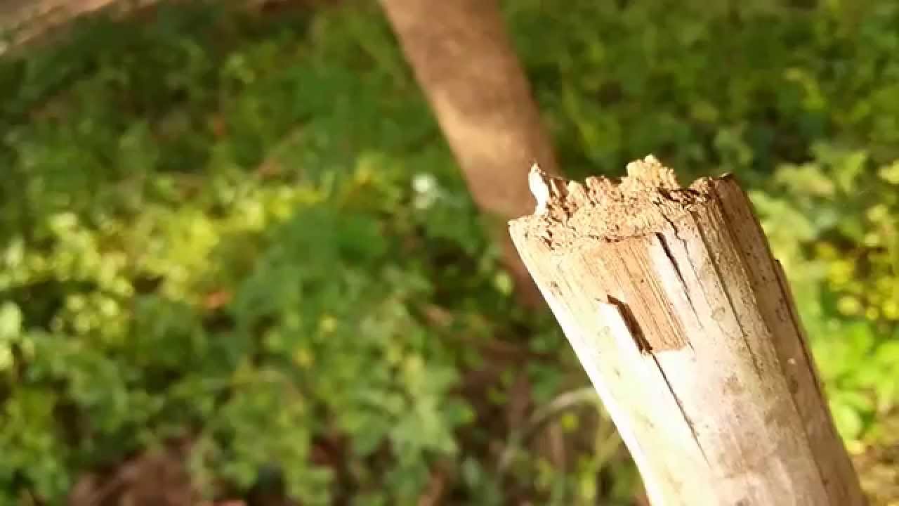 Lenovo ZUK Z1 camera sample FHD at 26fps