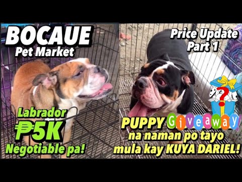 Bocaue Pet Market Part 1 | January 27, 2023 | Bocaue, Bulacan - YouTube