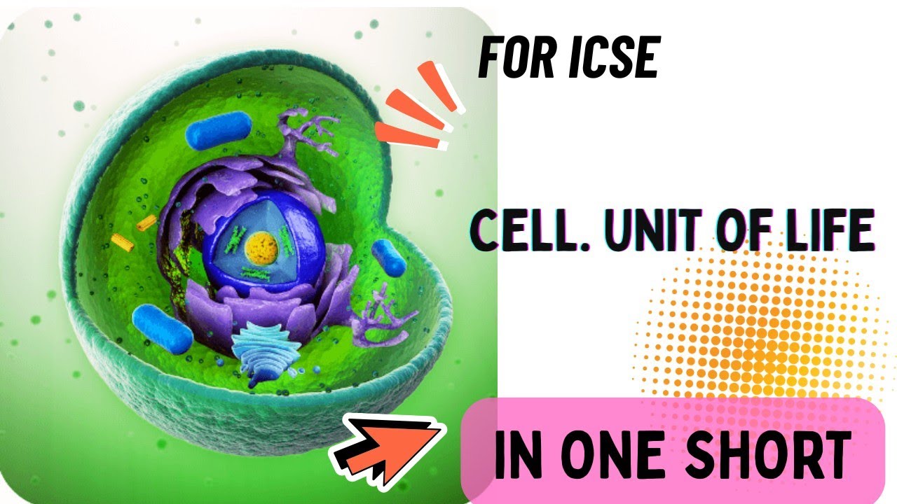The cell basic unit of life - YouTube