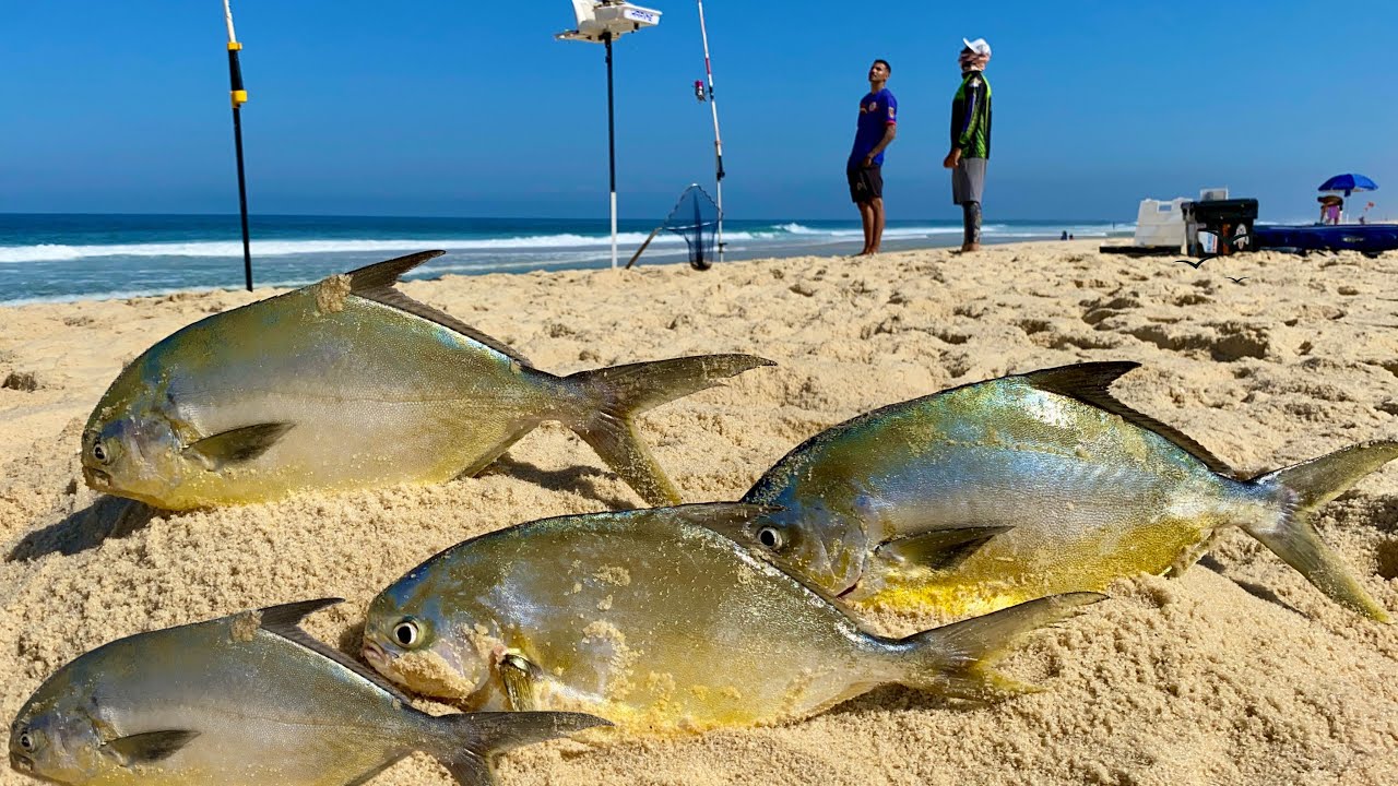 PESCA de PRAIA com TÉCNICAS que vão te ajudar a fisgar muitos PEIXES ...