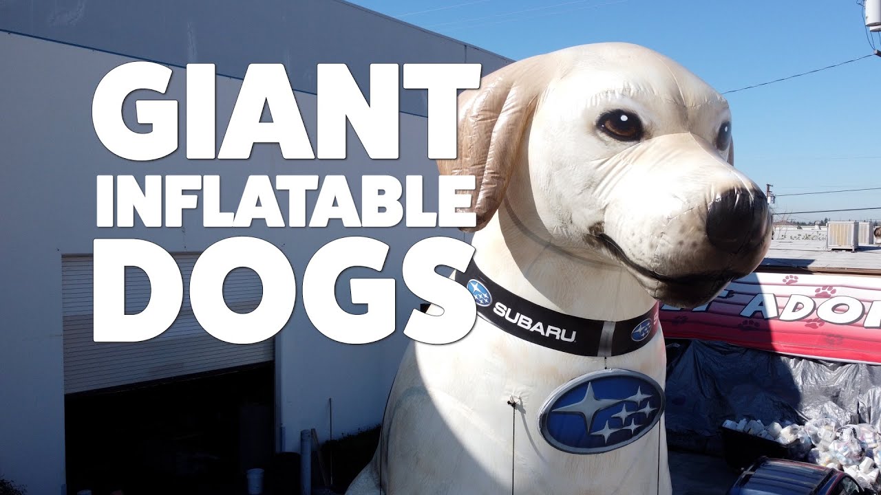 Giant Inflatable Dogs - YouTube