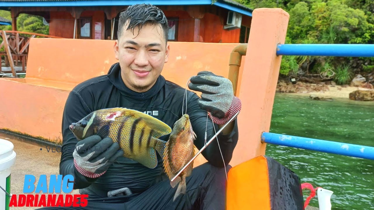 nembak ikan diving di pulau labun batam, spearfishing in labun island ...