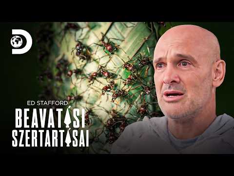 Brutális golyóhangya-rituálé az Amazonasban | Ed Stafford beavatási szertartásai