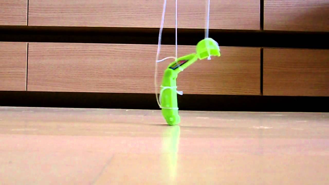 pet crane goes for a walk - YouTube