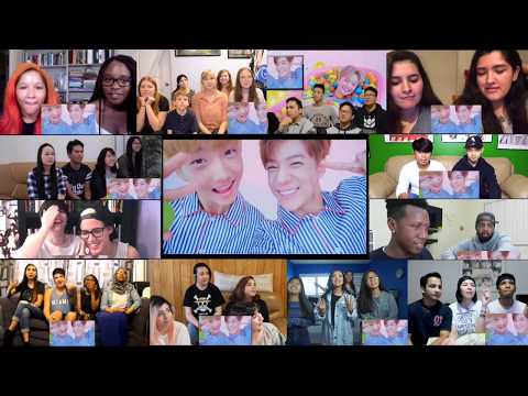 NCT DREAM 엔시티 드림 'Chewing Gum' MV Reaction Mashup