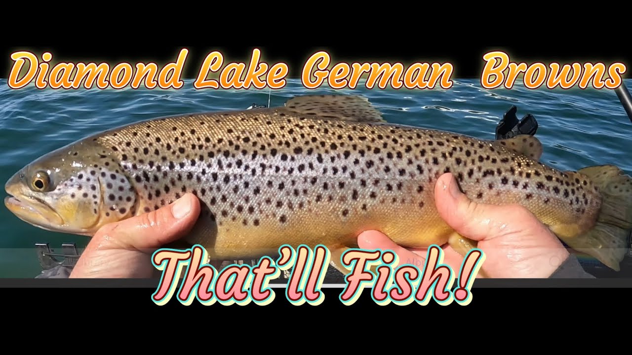 Diamond Lake, Oregon Kayak Fishing for German Brown & Tiger Trout with ...