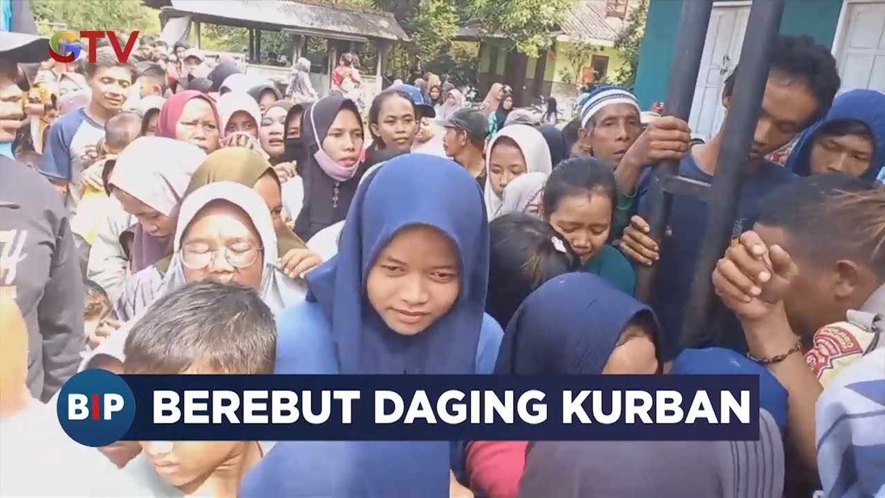 Warga Berebut Daging Kurban Pengusaha Sapi di Majalengka, Jawa Barat ...