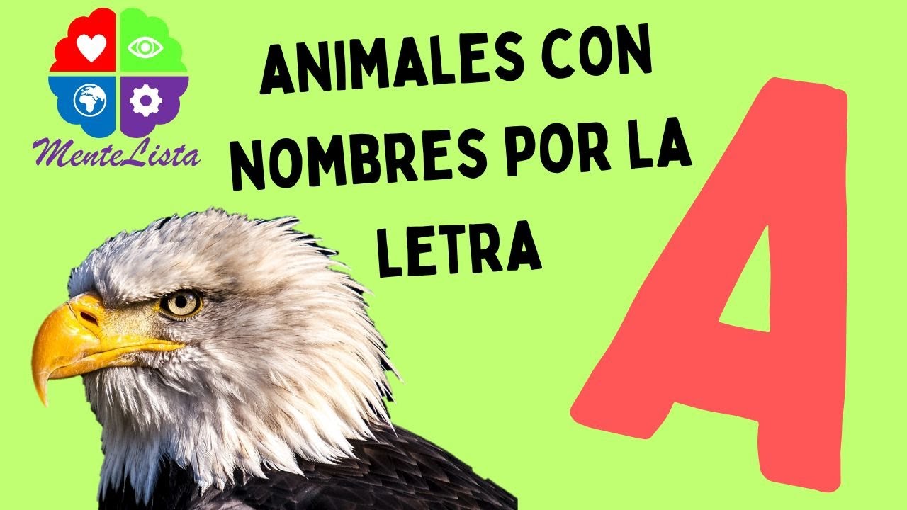 ANIMALES CON NOMBRES QUE COMIENZAN POR LA LETRA A - YouTube