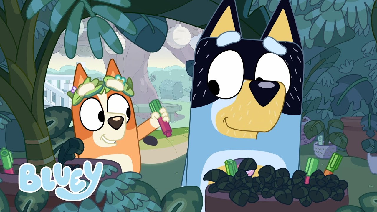 Rug Island | Bluey - YouTube