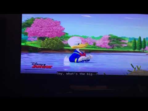 Donald Duck fell into the Lake/The fish spray water at Donald Ducks ...